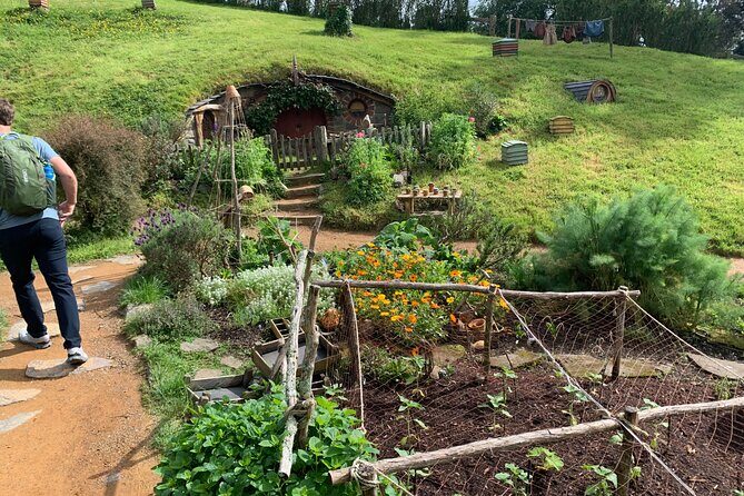 Private Hobbiton and Rotorua Auckland Tour House - Booking Options and Price Considerations