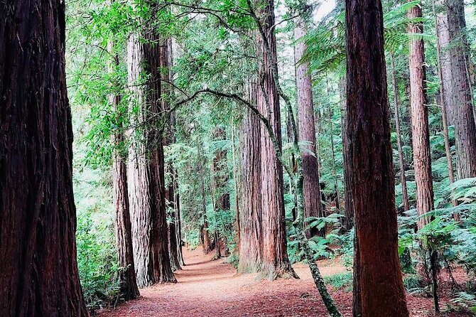 Private Hobbiton & Blue springs & Redwood forest from Auckland - Frequently Asked Questions