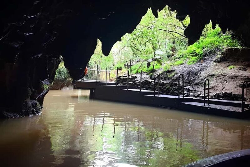 Private Hobbiton & Waitomo glowworm cave Day Trip - Authentic Insights from Travelers