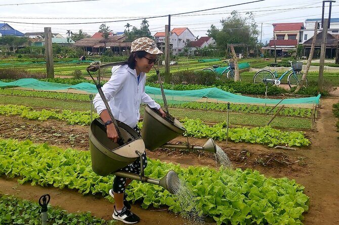 PRIVATE HOI AN Biking Vegetable Village, Basket Boat, Palm Forest - The Sum Up: Is This Tour Right for You?