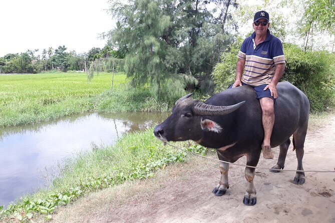 Private Hoi An Countryside: Biking, Basket boat, buffalo, foods - The Sum Up