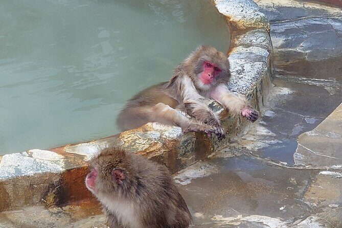 Private Hokkaido Guided 5 Day Tour with Transportation - What Makes This Tour Stand Out?