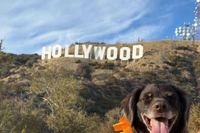 Private Hollywood Sign Hiking Tour with Select Hotel Pickup - Key Points