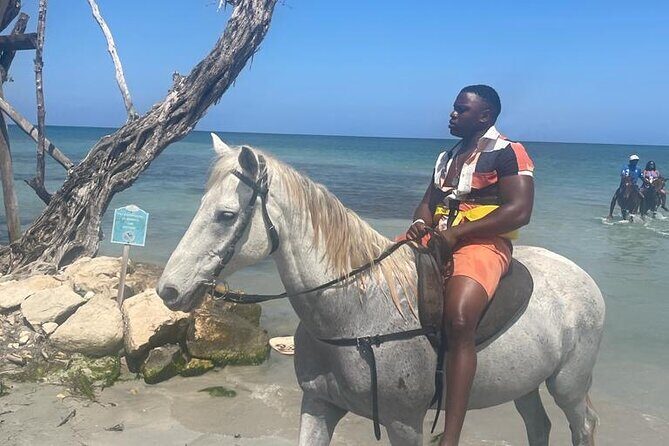 Private Horse Back Riding and Blue hole from Montegobay - Key Points