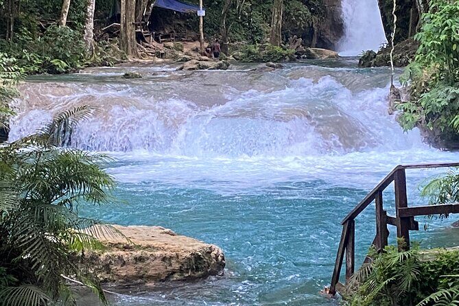 Private Horse Back Riding and Blue hole from Montegobay - Practical Details and Logistics