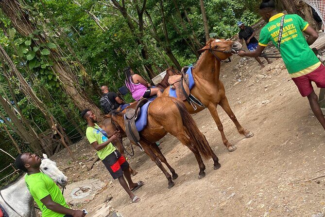 Private Horse Back Riding and Blue hole from Montegobay - Final Thoughts: Is This Tour for You?
