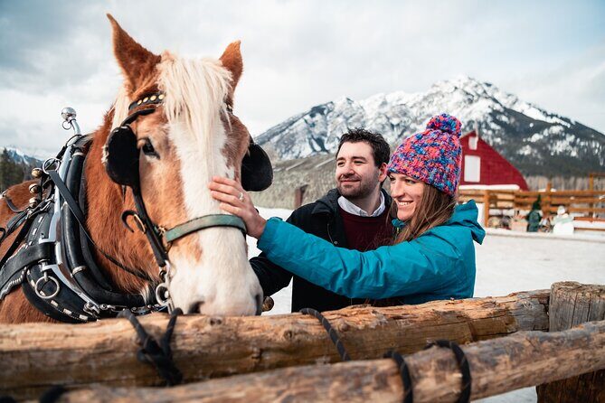 Private Horse-Drawn Sleigh Ride In Banff - In-Depth Look at the Experience