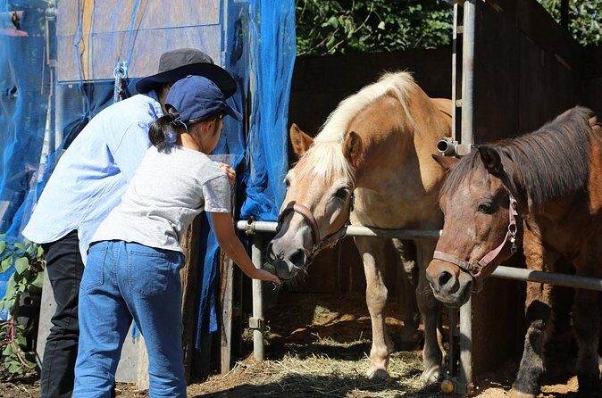 Private Horse Interaction Experience near Mt. Fuji - FAQs