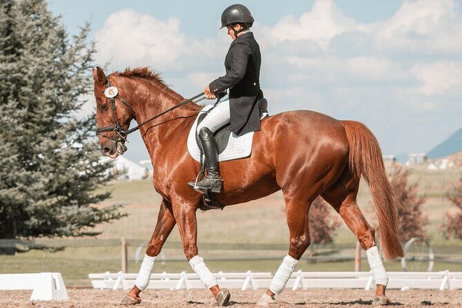 Private Horse Ridding tour - Key Points