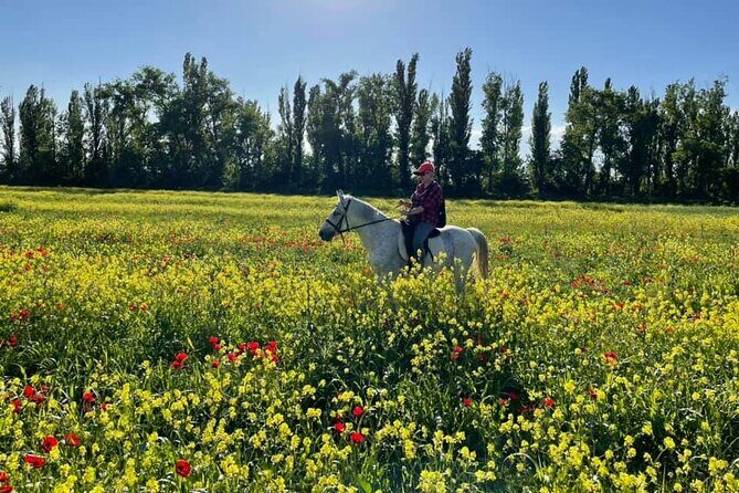 Private Horse Ridding tour - Who Will Love This Tour?