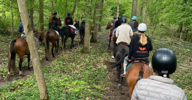 Private Horse Ride experience - Why This Horseback Ride Stands Out