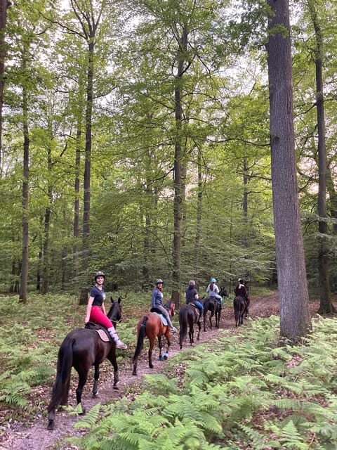 Private Horse Ride experience - What’s Included and Considerations
