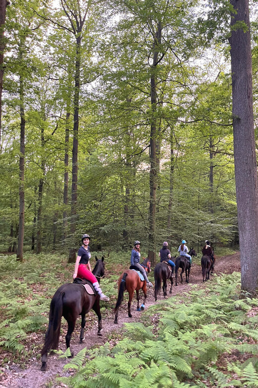 Private Horse Ride experience - Pricing and Value