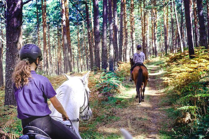 Private Horse Ride in Madrid natural park reserve - Key Points