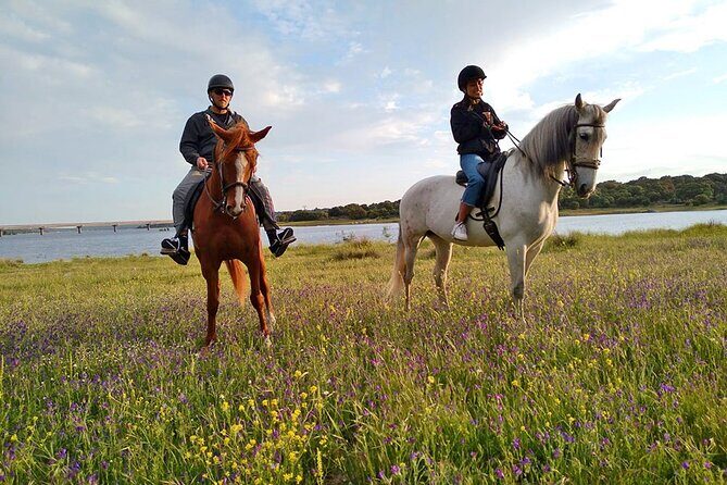 Private Horse Ride in Madrid natural park reserve - Authentic Scenic Experiences