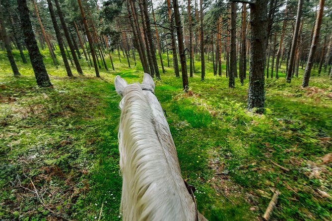 Private Horse Ride in Madrid natural park reserve - Who Will Enjoy This?