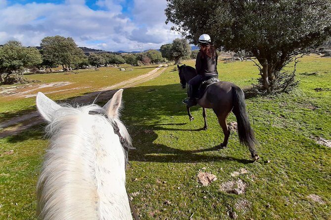 Private Horse Ride in Madrid natural park reserve - FAQ