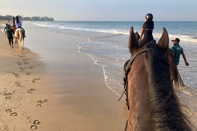 Private Horse Riding Activity in Port City - Key Points