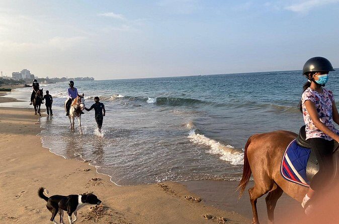 Private Horse Riding Activity in Port City - Frequently Asked Questions