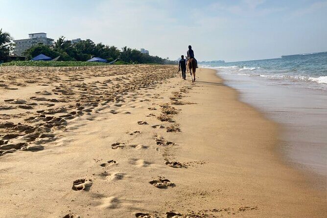 Private Horse Riding in Mount Lavinia - An Introduction to the Experience