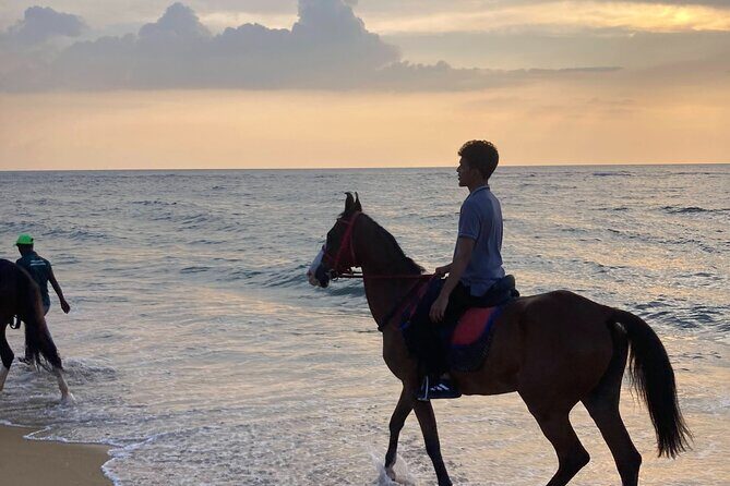 Private Horse Riding in Mount Lavinia - The Sum Up
