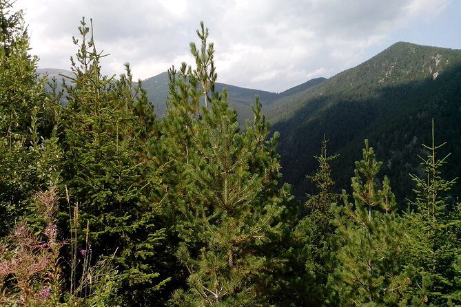 Private Horse Riding in Teteven Balkan from Sofia - Who Will Love This Tour?