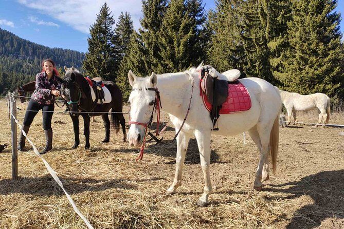 Private Horse Riding in Teteven Balkan from Sofia - FAQ