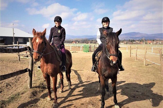 Private Horse Riding near Budapest with transport - A Genuine Look at Private Horse Riding Near Budapest