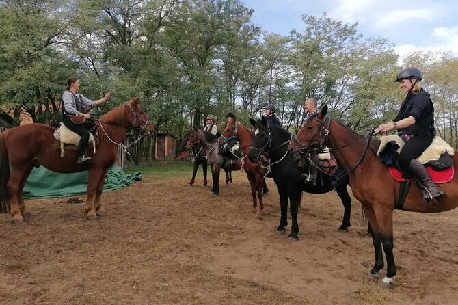 Private Horse Riding near Budapest with transport - FAQ