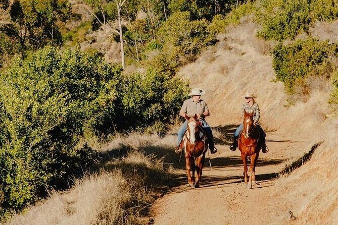 Private Horse Trail and Canyon Ride on Catalina Island - An In-Depth Look at the Experience