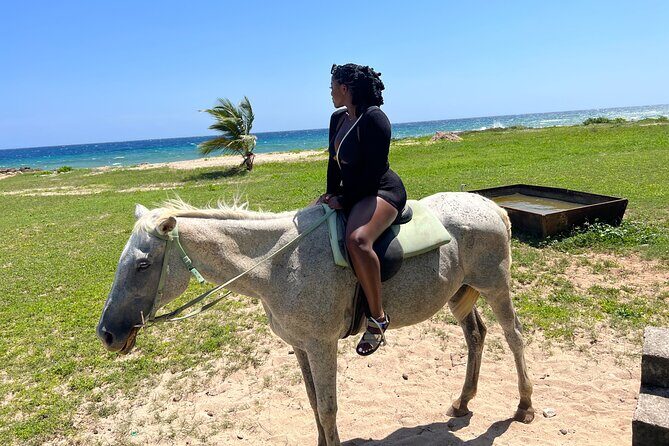 Private Horseback Ride and Swim from Montego Bay - Key Points