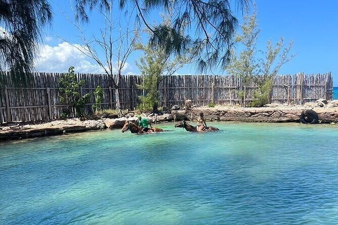 Private Horseback ride and swim in Montego Bay - The Value of the Experience