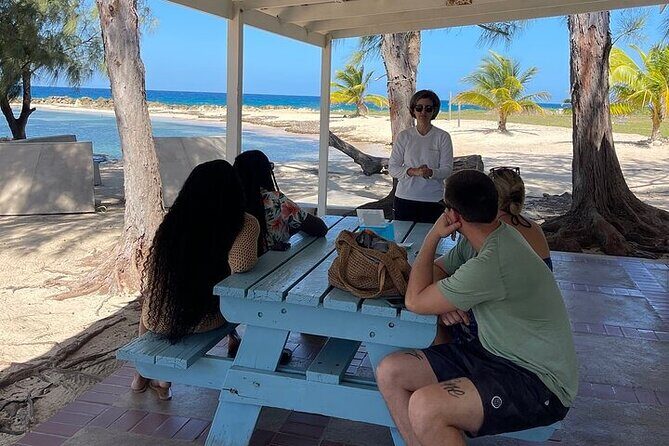 Private Horseback ride and swim in Montego Bay - Who Will Love This Tour?