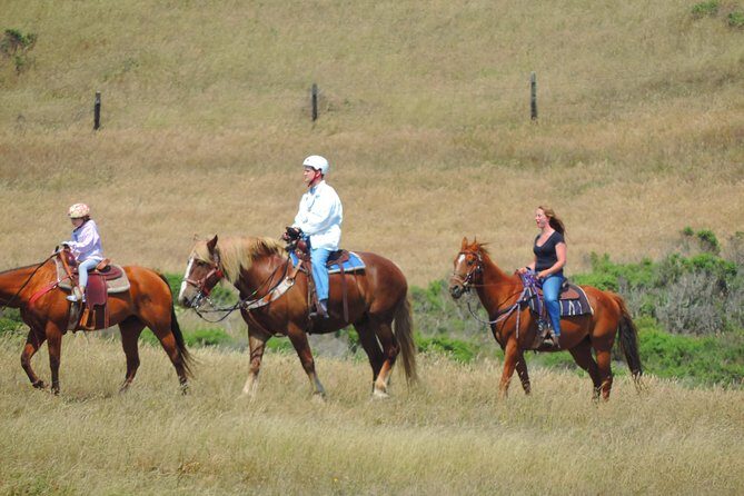 Private Horseback Riding and Muir Woods Adventure from San Francisco - FAQ