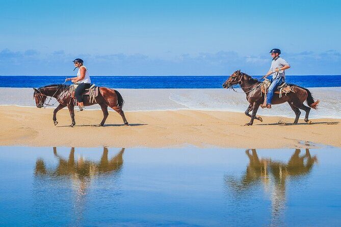 Private Horseback Riding in Cabo San Lucas - An In-Depth Look at the Experience