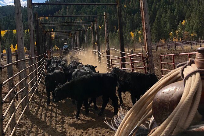 Private Horseback Riding in Wyoming - A Closer Look at the Wyoming Cowboy Day