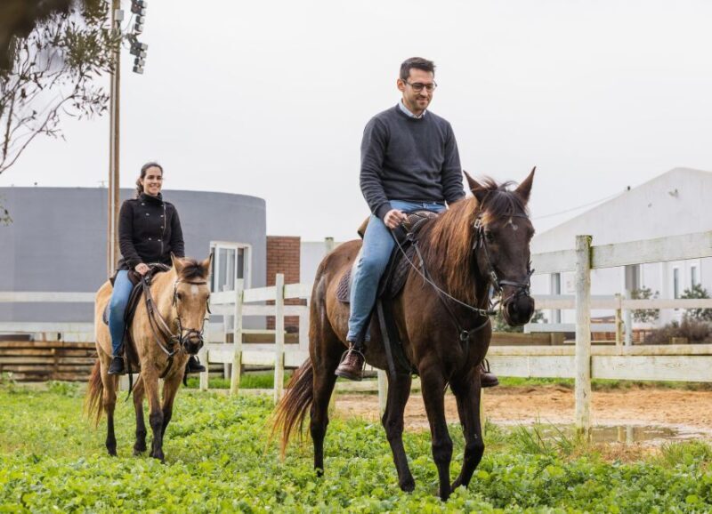 PRIVATE Horseback Riding On The Beach - Key Points