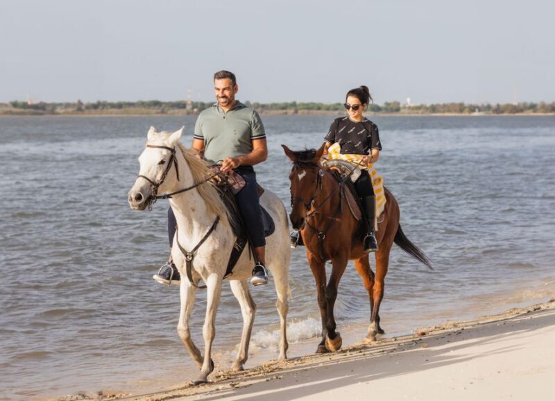 PRIVATE Horseback Riding On The Beach - The Sum Up: Who Is This Tour Best For?
