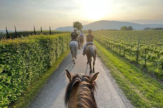 Private Horseback Riding Tour of the Vineyards in Verona with Wine Tasting - The Itinerary in Detail