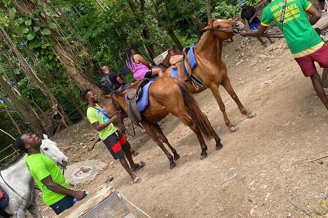 Private Horseback Riding with Blue Hole River Tour in Montego Bay - What to Expect from This Montego Bay Adventure
