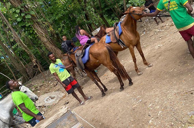 Private Horseback Riding with Blue Hole River Tour in Montego Bay - Who Should Book This Tour?