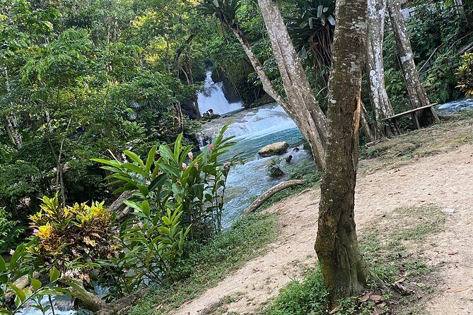 Private Horseback Riding with Blue Hole River Tour in Montego Bay - The Sum Up: Is This Tour Worth It?