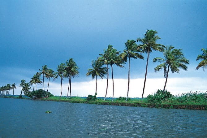 Private Houseboat Backwater Day Cruise tour with Lunch from Cochin - Why This Tour Stands Out