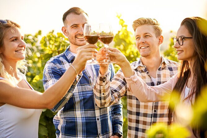 PRIVATE Hunter Valley All-Incl Premium Wine Tasting Tour (10 hrs) - The Itinerary in Detail