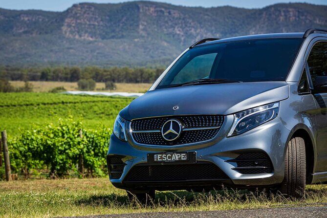 Private Hunter Valley Escape Tour From Sydney - A Closer Look: The Experience from Sydney to Hunter Valley
