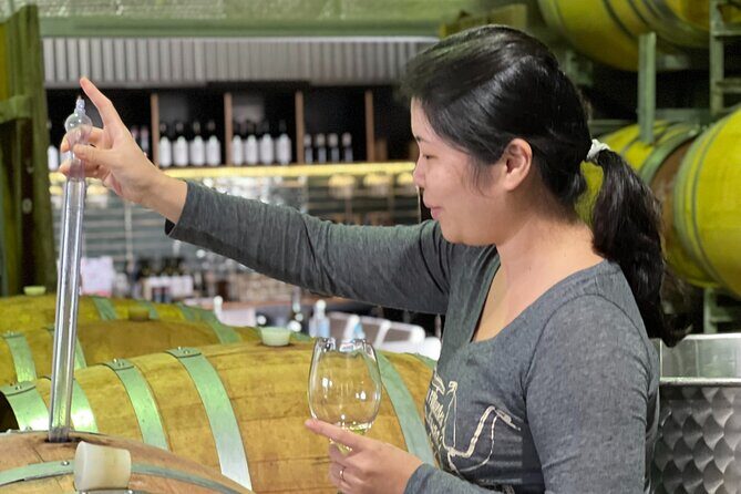 Private Hunter Valley Luxury Tour From Sydney - Additional Options for a Complete Day