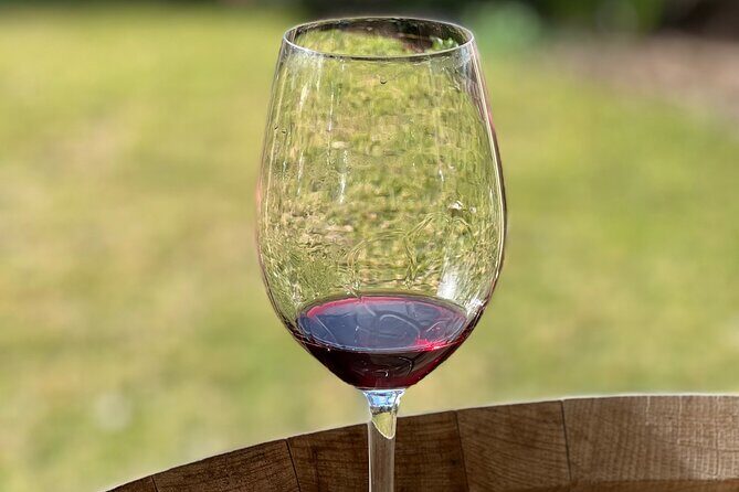 Private Hunter Valley Wine Day Tour from Sydney luxury Mercedes - Who Would Love This Tour?