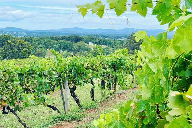 Private Hunter Valley Wine Tasting Tour from Sydney - A Closer Look at the Experience