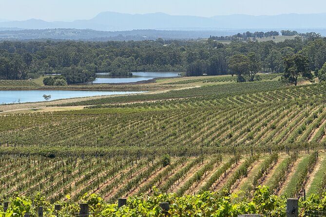 Private Hunter Valley Wine Tasting Tour from Sydney - FAQ