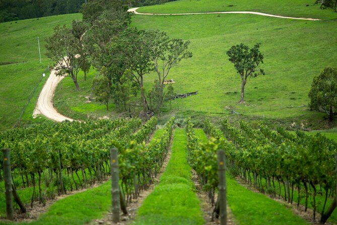 Private Hunter Valley Wine Tour from Sydney Tasting Day Trip - Who Would Love This Tour?